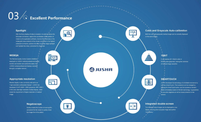 Jusha Medical Features Explained 2025